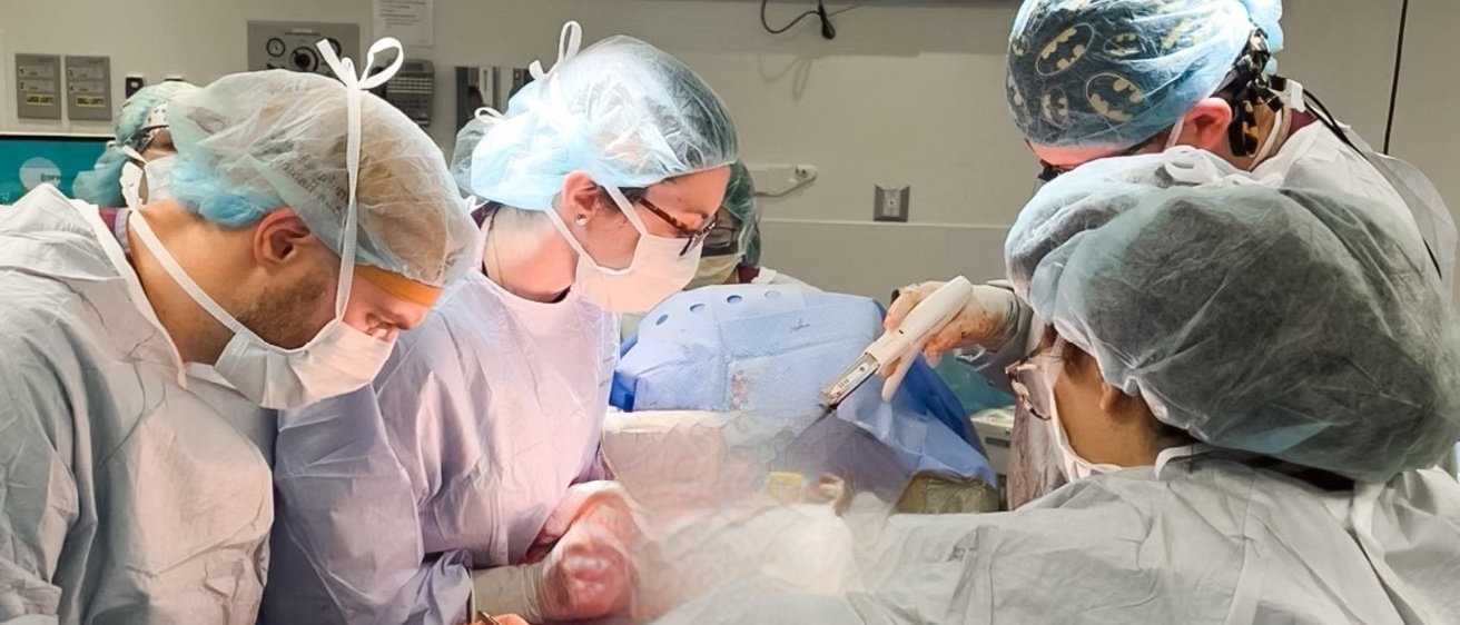 Integrated Plastic Surgery Residency | Department of Surgery - Carver ...