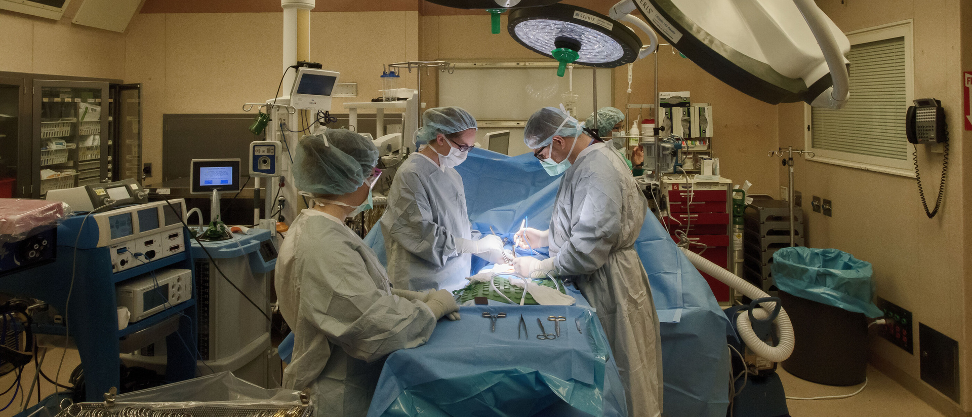 General Surgery Residency | Department of Surgery - Carver College of ...