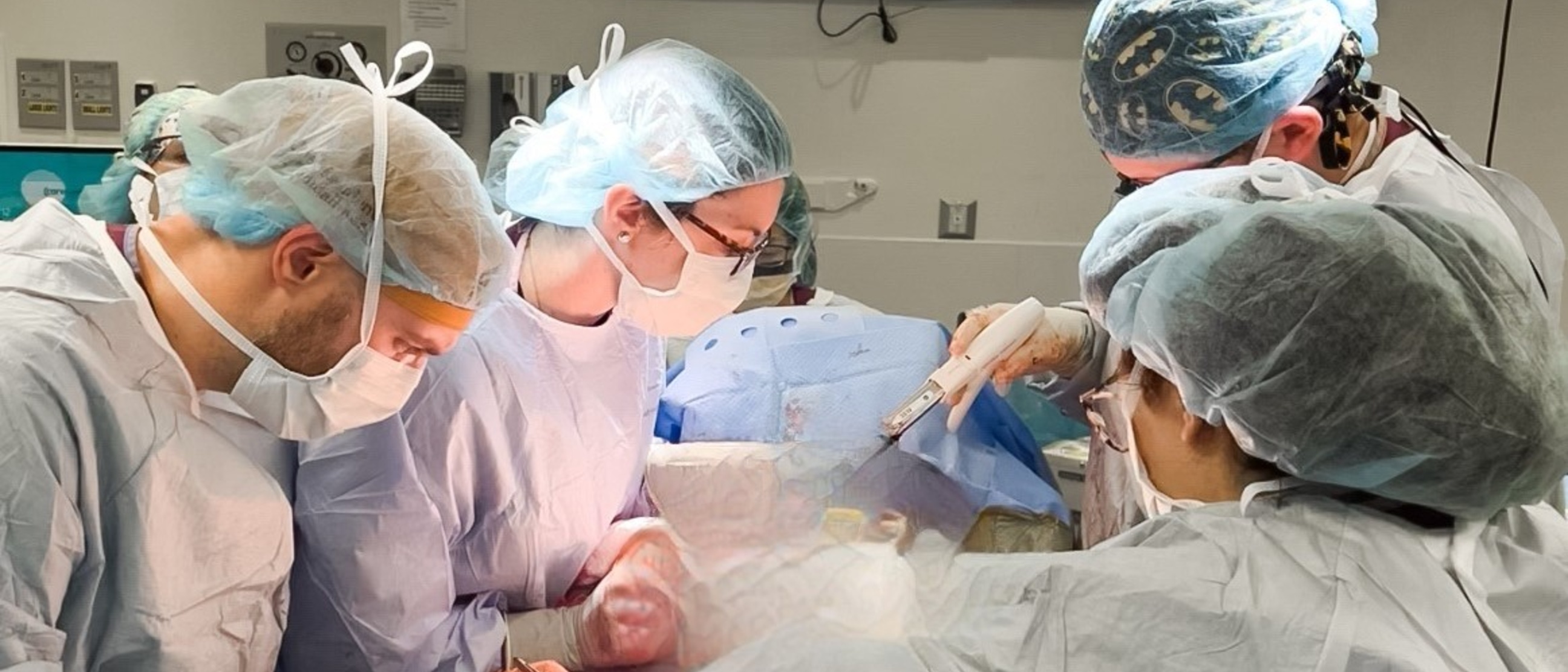 Integrated Plastic Surgery Residency | Department of Surgery - Carver ...