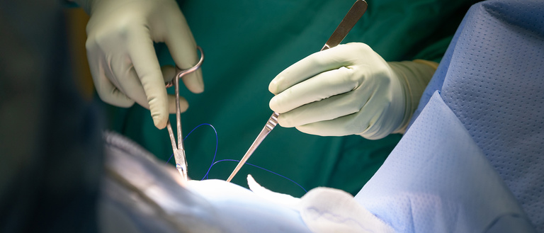 Department of Surgery | Carver College of Medicine | The University of Iowa