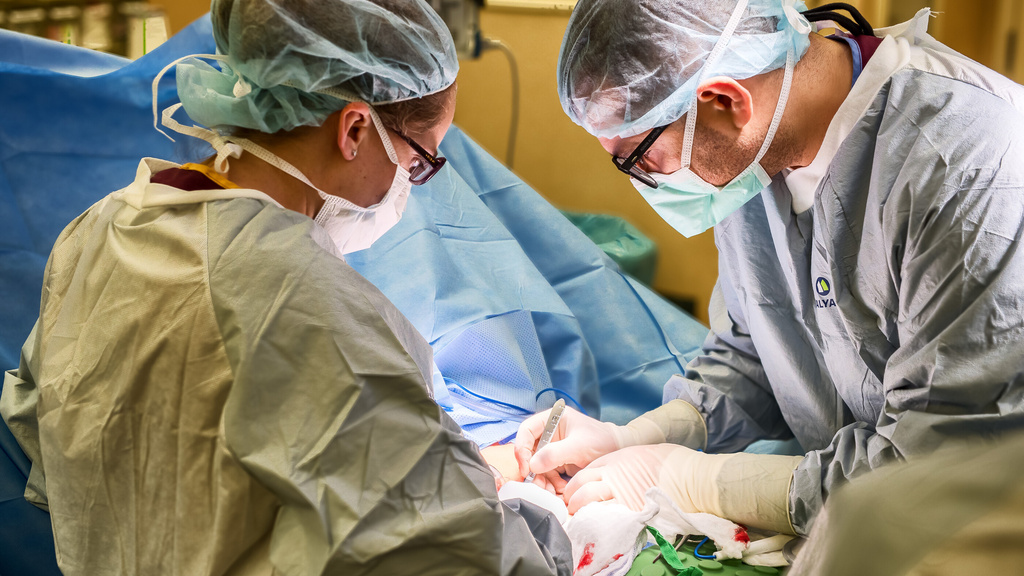 General Surgery Residency | Department of Surgery - Carver College of ...