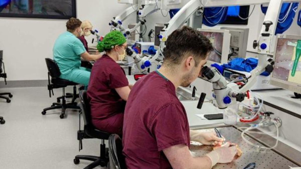 Integrated Plastic Surgery Residency | Department of Surgery - Carver ...