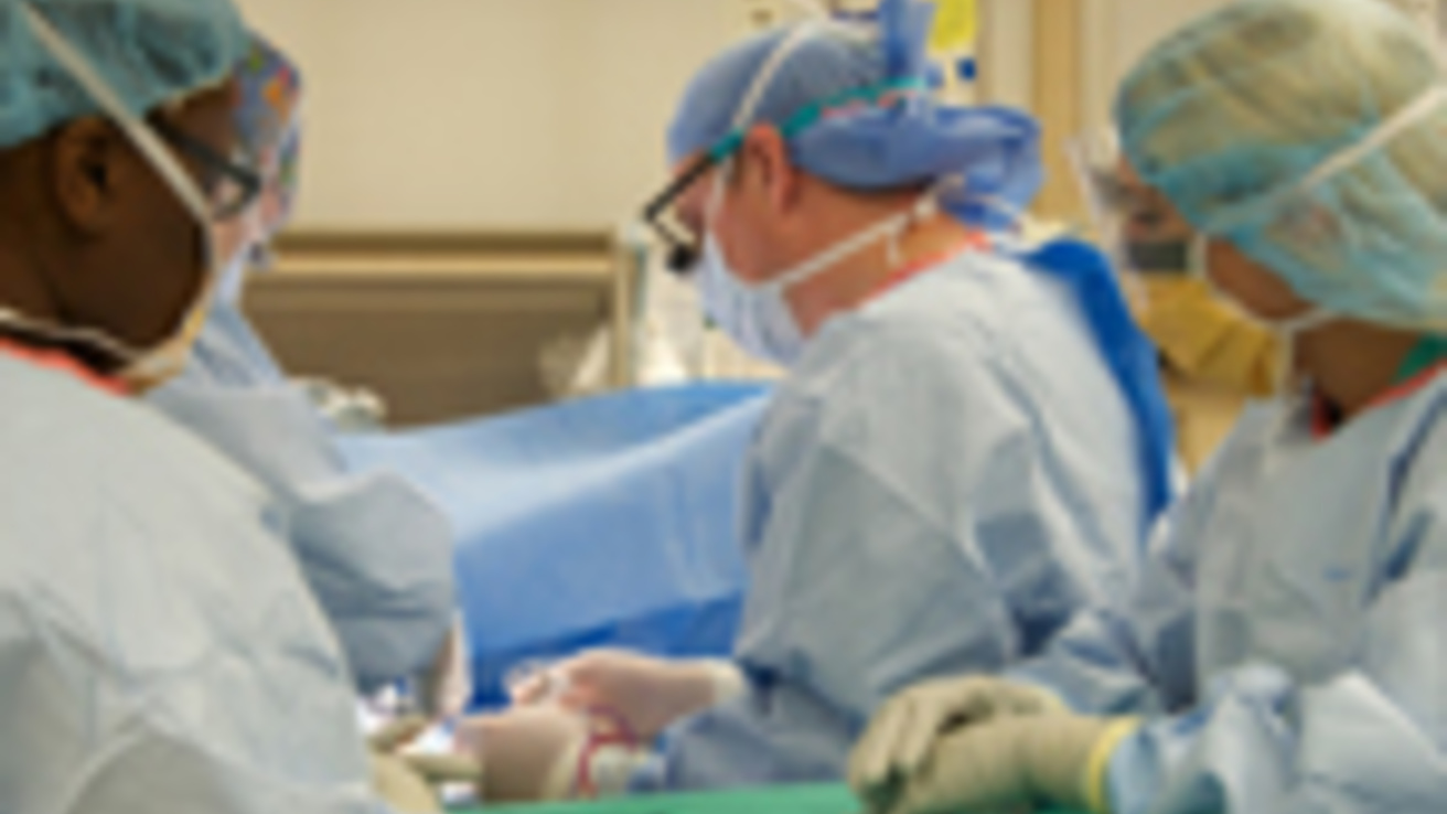 Divisions | Department of Surgery - Carver College of Medicine | The ...