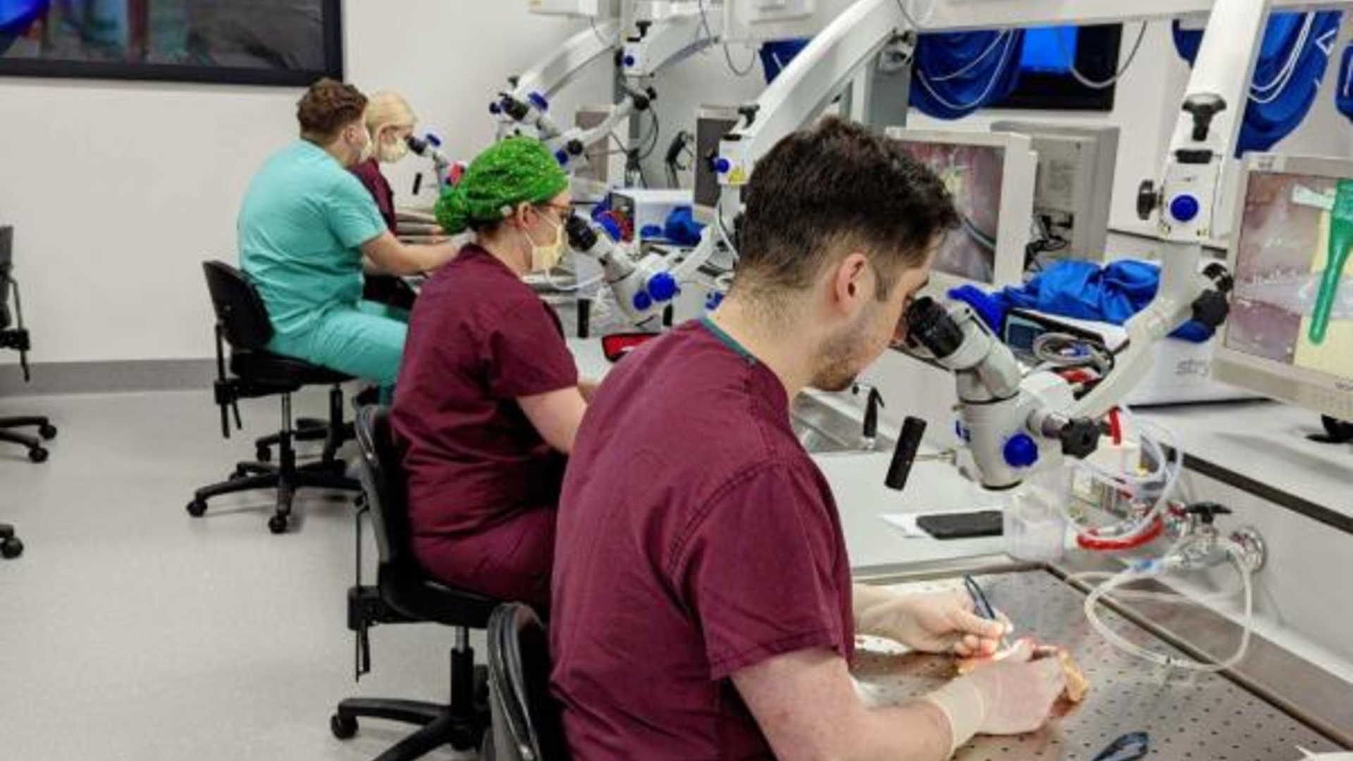 Integrated Plastic Surgery Residency | Department of Surgery - Carver ...